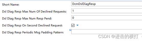 【车载开发系列】autosar中的dsl模块（vector Configurator Pro实现） Autosar Dcm Nrc21 Csdn博客