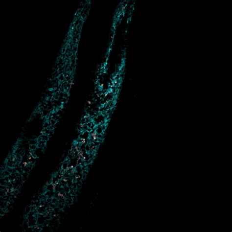 Significance Tests For Similarity Between Large Datasets With Different Non Normal Bimodal