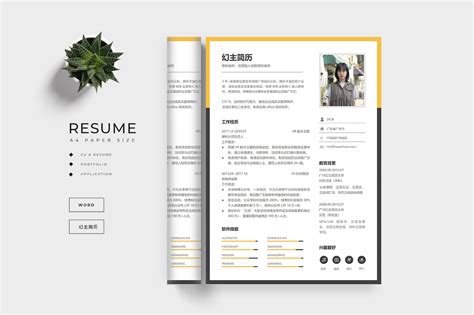 java软件工程简历案例 幻主简历