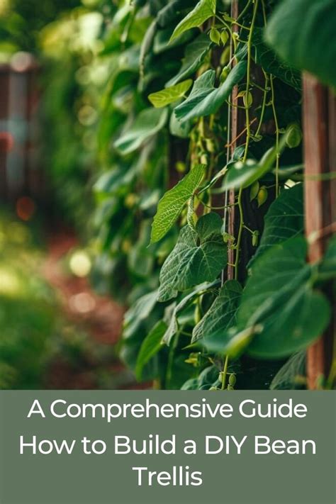 A Comprehensive Guide How To Build A Diy Bean Trellis