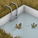 Pros And Cons Of Being A Pansexual Non Binary Asexual LGBT Amino