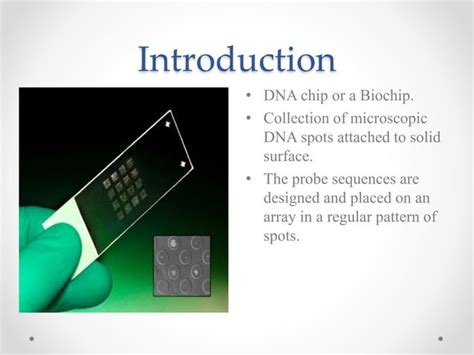 Dna Microarray Introdution And Application