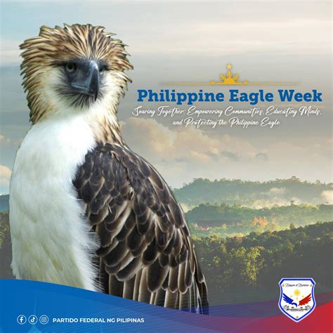 Partido Philippine Eagle Week Celebrated June 4 10 Raises Awareness