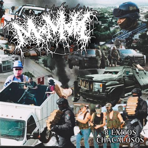 ‎8 Éxitos Chacalosos Album Av Mxmxm Apple Music