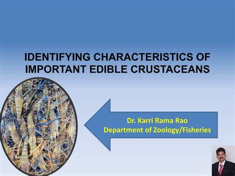Identifying Characteristics Of Important Edible Crustaceanspptx Identifying Characteristics Of Important Edible Crustaceanspptx