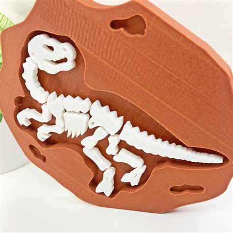 Tyrannosaurus Rex Bone Fossil Puzzle Model Build Learn And Display Funhousetoys