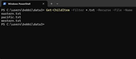 Powershell How To Find All Files With Specific Extension Collecting