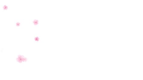 Flower Falling Background