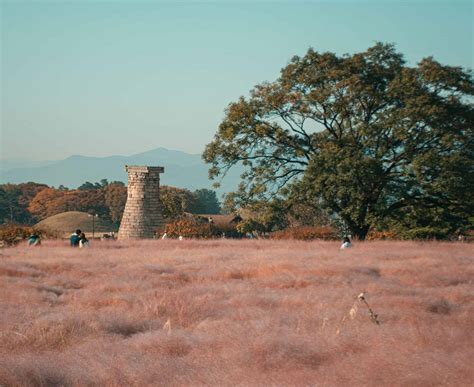 The Perfect Gyeongju Itinerary Linda Goes East