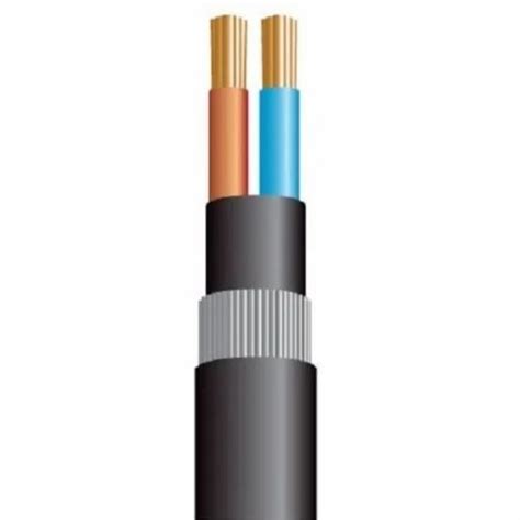 25sqmm 2 Core Copper Armoured Cable Xlpe Cable 1100v Polycab At ₹ 77
