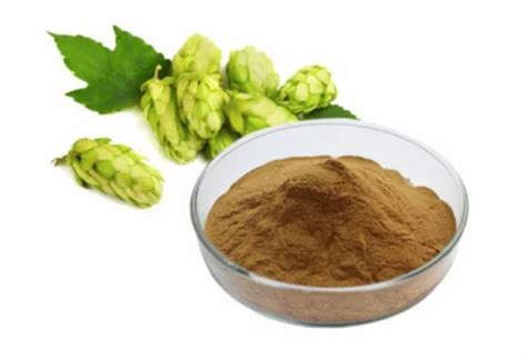 Hops Extract Powder At ₹ 750kg Extract Powder In Nagpur Id