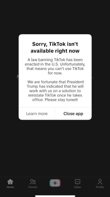 틱톡과 퍼플렉시티가 합병한다고요