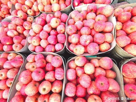 山东苹果，凭什么是中国苹果之神？ 苹果 新浪新闻