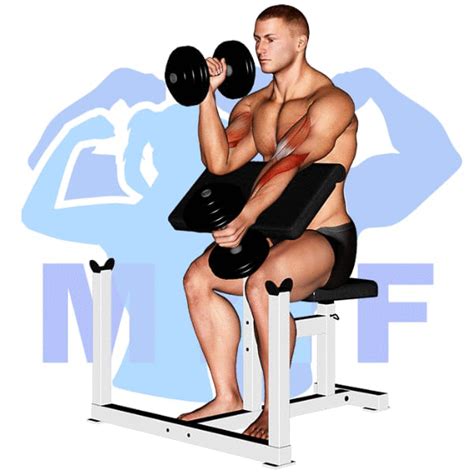 Alternating Dumbbell Hammer Preacher Curl Great Form And Tips