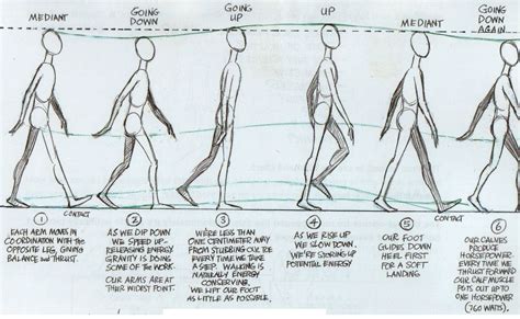 walk cycle principles of animation animation process animation
