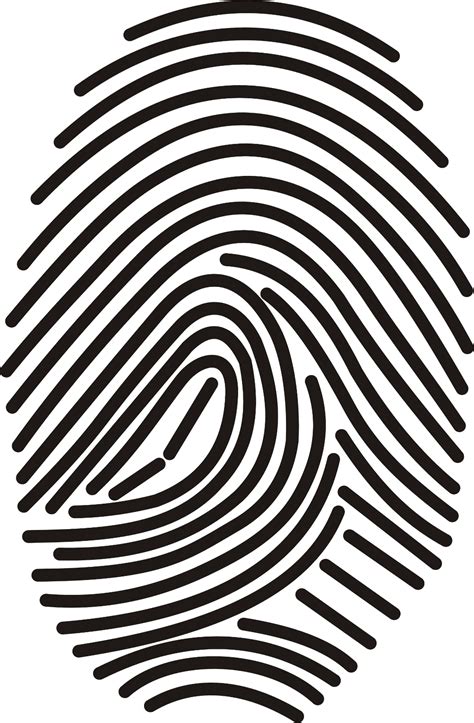 Fingerprint PNG Transparent Image Download Size X Px