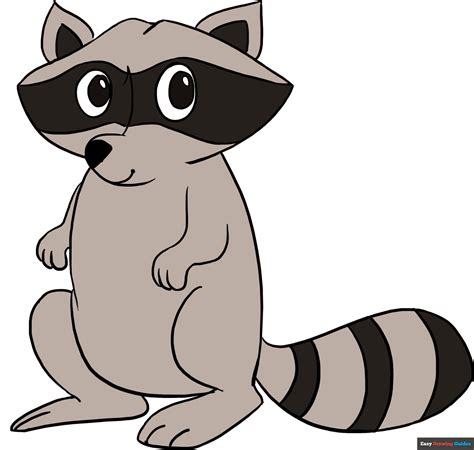 How To Draw A Cute Raccoon