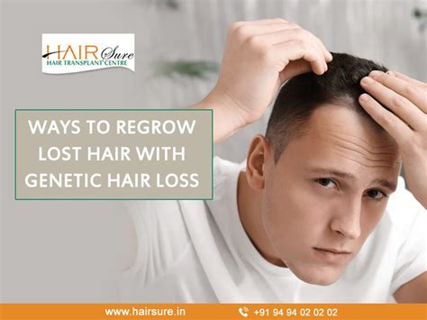 Ways To Regrow Lost Hair With Genetic Hair Loss Hair Sure