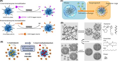 Responsive Microgels And Microgel Assemblies In Biocatalytic