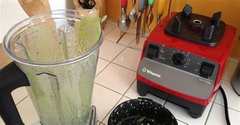 Olivia Cleans Green How To Clean A Blender
