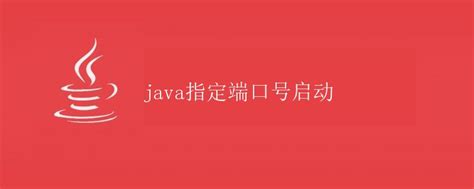 java指定端口号启动 极客教程