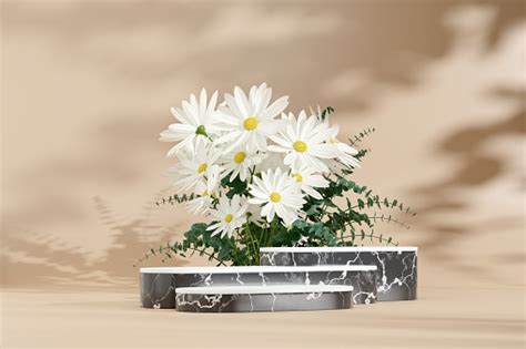 흰색이 있는 제품 모형을 위한 분홍색 연단 디스플레이의 3d 렌더링 일반적인 데이지 꽃 0명에 대한 스톡 사진 및 기타 이미지 0명 3차원 형태 공란 Istock