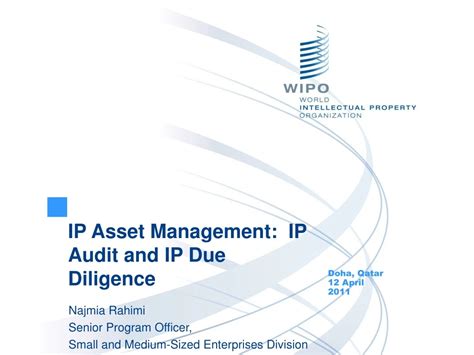 PPT IP Asset Management IP Audit And IP Due Diligence PowerPoint Presentation ID 9193770
