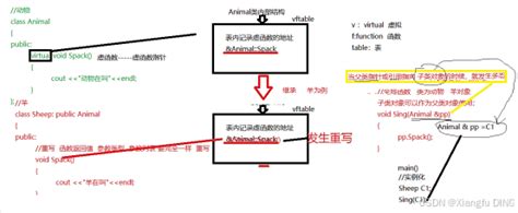C 多态特性c 中静态多态和动态多态的各自特性和差异 Csdn博客