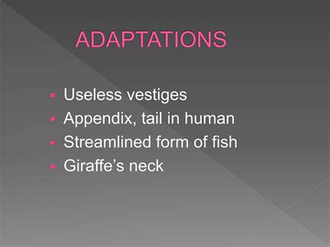 The Physical Adaptation Source Pptx