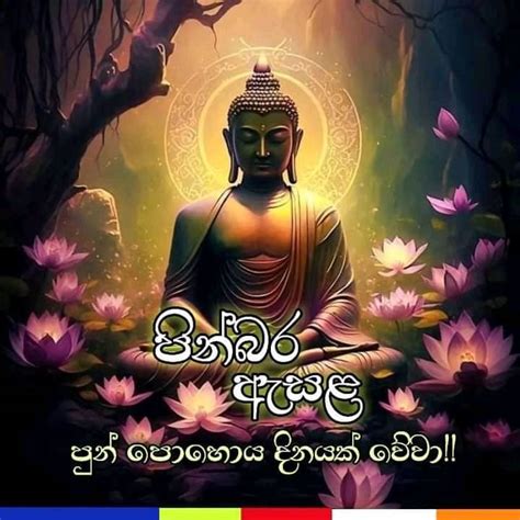 Hesha ඇසල පුරපසළොස්වක පොහොය දිනය අදයි 🌕අපමහ සිදුහත් බෝසතාණන් වහන්සේ පස්මහ බැළුම් බැලීමෙන්