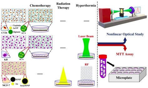 Nonlinear Optical Response Of Cancer Cells Following Conventional And Nano Technology Based