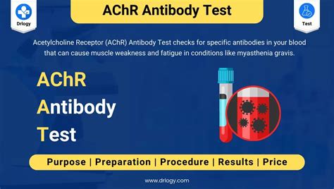 Acetylcholine Receptor Achr Antibody Test Price And Result Drlogy
