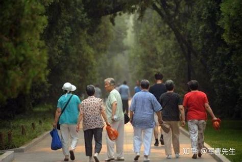 中国历年出生人口（1949 2019） 知乎