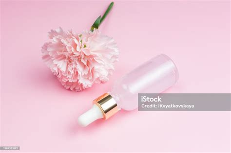 드롭퍼 유리 병 모형 대변 트리트먼트 와 스파 천연 미용 제품 뷰티 세럼 스킨 케어 블랭크 병 카네이션 플라워가 있는 핑크 배경
