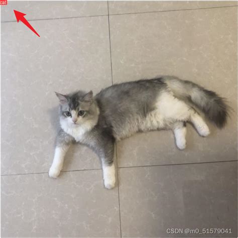 【保姆级教程】yolov8cls图像分类：训练自己的数据集yolov8 Clspt Csdn博客