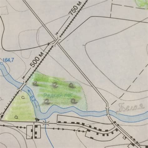 Определите направление и скорость течения реки Белая Школьные Знания Com