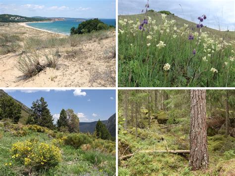 Filling Empty Boxes With Hard Data Scientific Background For European Habitat Classification