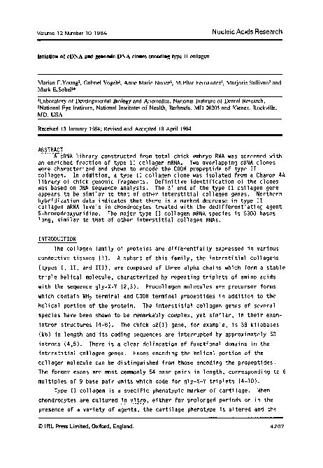 Pdf Isolation Of Cdna And Genomic Dna Clones Encoding Type Ii Collagen