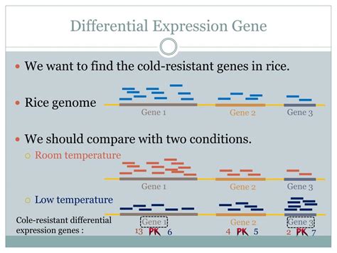 PPT RNA Sequencing For Differential Expression Genes PowerPoint Presentation ID