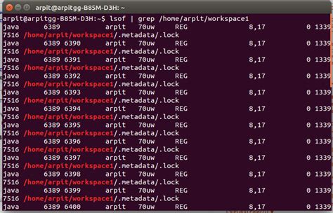 Java How To Unlock File Locked By A Process Ask Ubuntu