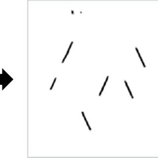 Original Image Left And Two Members Of The Equivalence Class Of Our Download Scientific