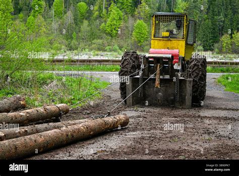 Forestry Vehicle Pulling Logs With A Steel Cable In A Forest Area