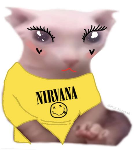 Cute Bingus Cute Hairless Cat Meme Tshirts Memes