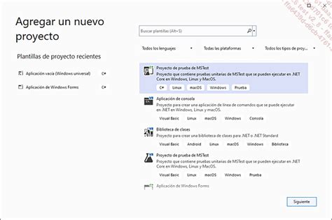 C 10 Pruebas Unitarias