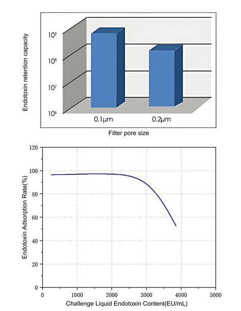 주 비브이에스코리아
