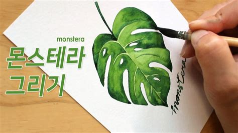 감성수채화 몬스테라 그림으로 키우기 Youtube