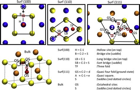 Top Views Of C Diffusion Pathways As Predicted By Dft [10 12] On The Download Scientific