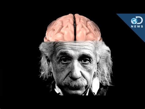 Einstein Brain Usage Percentage