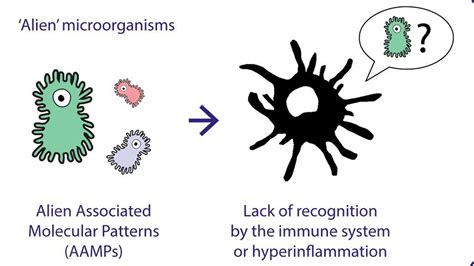 Jorge Domínguez Andrés On Linkedin Space Microorganisms