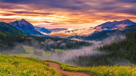 Understanding Process Capability Analysis An Overview Insight Tribune